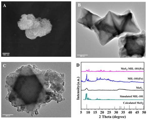 Molybdenum Disulfide Integrated Iron Organic Framework Hybrid Nanozyme