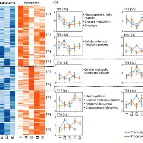 Integrative Analysis Of Paired Transcriptome And Proteome A The Download High Resolution
