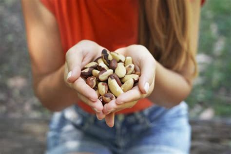 Selenium Is An Essential Nutrient That Is Crucial To Health But Can It Help Prevent And Treat