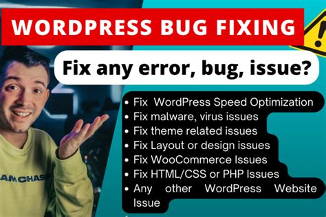 Fix WordPress Errors Bugs Improve Speed Responsiveness And More For Freelancer Afzaal