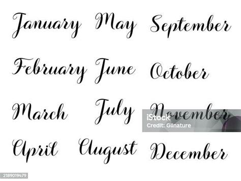 Month Names Cursive Typography Set Handwritten Calligraphic Outline Script Collection Of