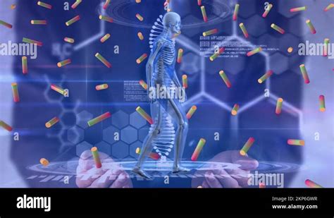Human Body Model Science Stock Videos Footage HD And K Video Clips Alamy