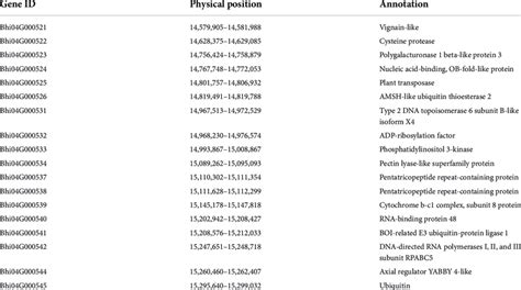 Candidate Annotated Genes In The Fine Mapping Region Download