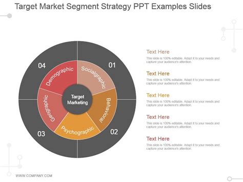 Target Market Segment Strategy Ppt Examples Slides Powerpoint Shapes