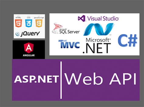 Build Dot Net Web Api And Mvc Application With Angular By Singingcode Fiverr