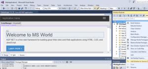 Team Foundation Server TFS Tutorial For Beginners