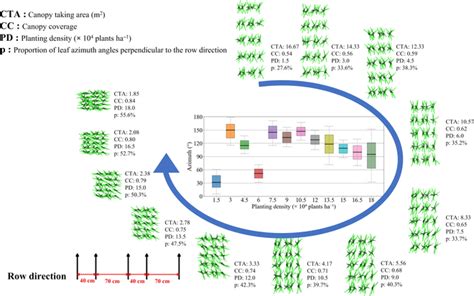 Three Dimensional Modeling Of Maize Canopies Based On Computational Intelligence Plant Phenomics