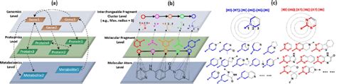 The Schematic Illustration Of Multi Layer Graph Or Network Models For