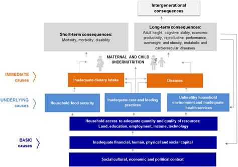 The Unicef Conceptual Framework Of Undernutrition Is Shown Source