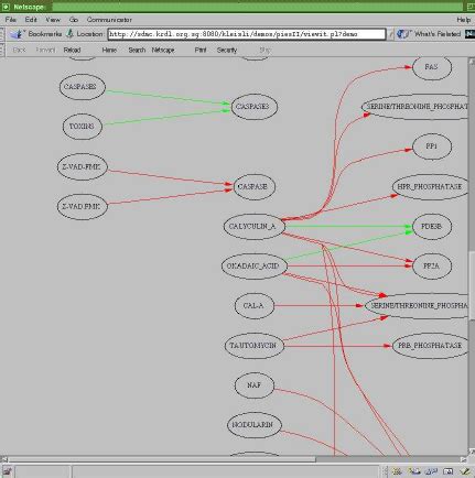 Example Interaction Graph Produced By The PIES Download Scientific Diagram