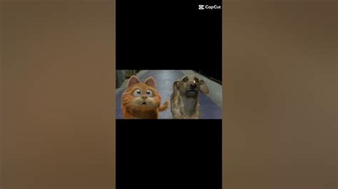 Garfiled Youtube