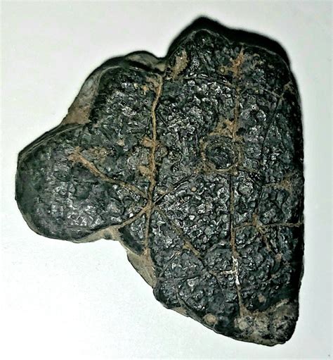 Pacific Biochar S Biological Activation Process To Improve Biochar Materials Artofit