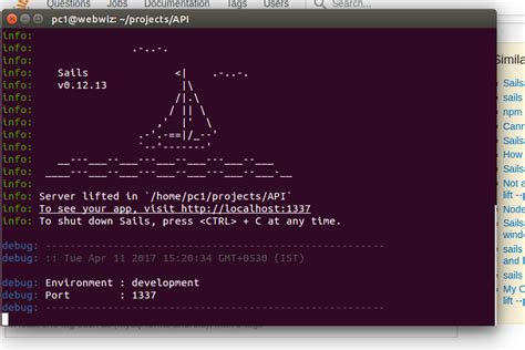 node js sails js is lifting but localhost 1337 not working stack