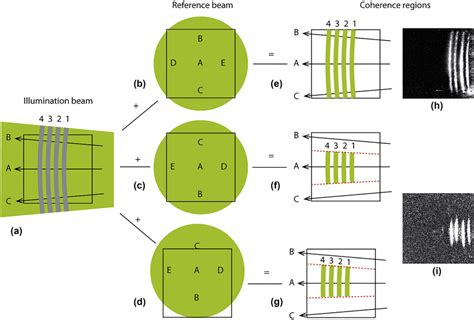 Influence Of The Laser Spatial Coherence Length On The Reconstructed