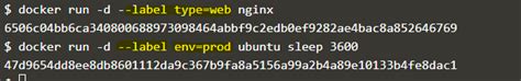 Docker Ps How The Ps Command Works In Docker With Examples