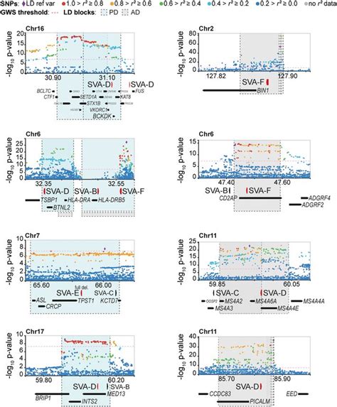 A Hidden Layer Of Structural Variation In Transposable Elements Reveals