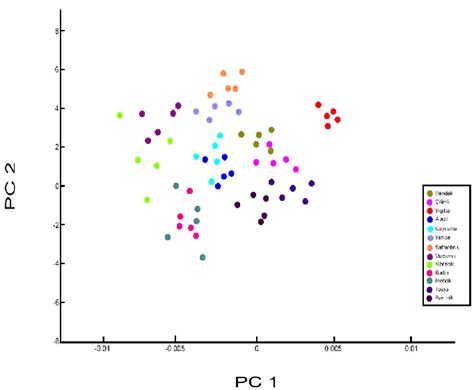 Two Dimensional Clustering In Principal Compenent Analysis Of Colony