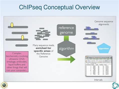 Advanced Chip Seq Identification Of Consensus Binding Sites For The Leafy Transcription Factor