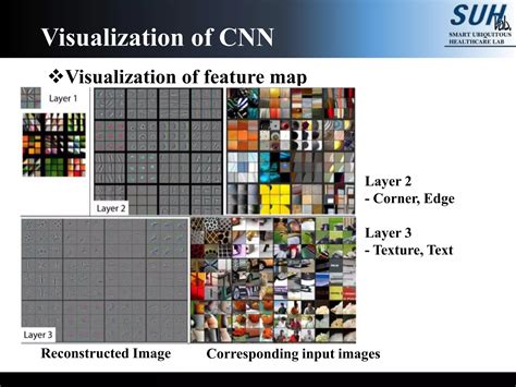 visualizaing and understanding convolutional networks pptx
