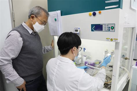 Dgist 살아있는 세포 왜곡 없이 이미징하는 기술 최초 개발