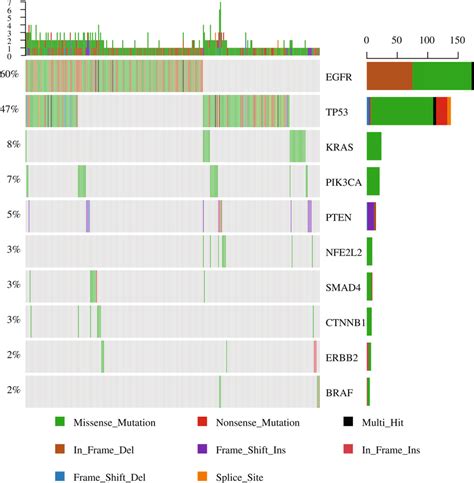 Oncoplot Depicting The Top 10 Most Frequently Mutated Genes The