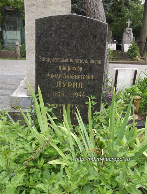 Новодевичье кладбище. Лурия Роман Альбертович (1874-1944)