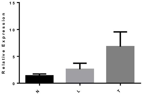 Application Of Long Chain Non Coding Rna In Preparation Of