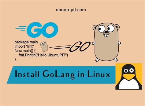Comment Installer GoLang Langage De Programmation Go Sous Linux Tech Tribune France