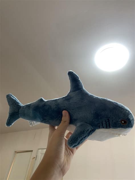 I know it’s a knock off but look at this cute guy! : r/BLAHAJ