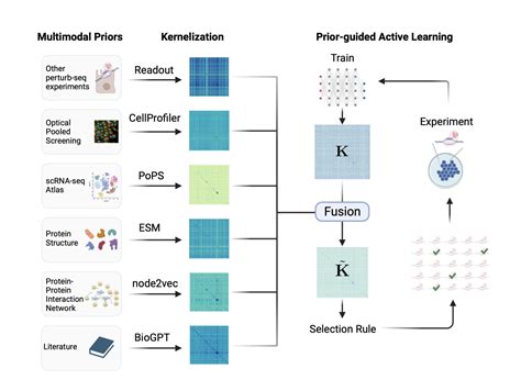 researchers from genentech and stanford university develop an iterative