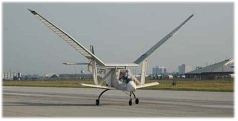 Plane With Flapping Wings Download Scientific Diagram