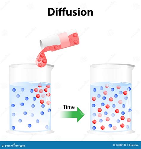 Diffusion Process Laboratory Flasks With Water Before And After Diffusion Process Laboratory Flasks With Water Before And After