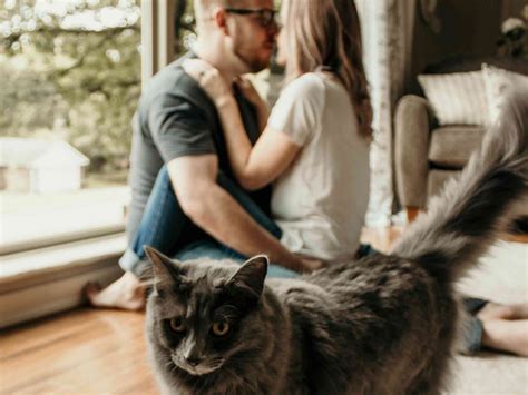 Hubungan Intim Gaya Lotus Sedang Jadi Perbincangan Apa Manfaatnya Bagi Pasutri