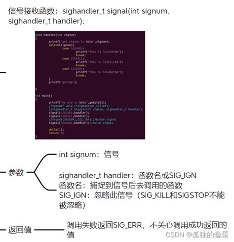 linux进程间通信 linux进程通信 csdn博客