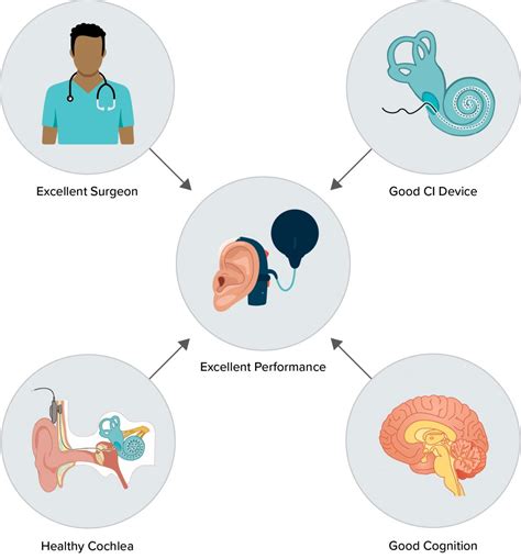Hearing And Auditory Research For Cochlear Implant Outcomes