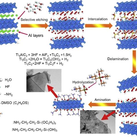 Schematic Illustration Of Synthesis And Surface Functionalization Of Ti