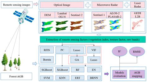 Improving Forest Above Ground Biomass Estimation Accuracy Using Multi Source Remote Sensing And