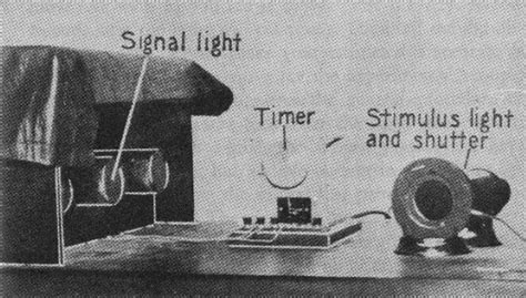 1. Apparatus for group experiments (with screen removed; from Sherif,... | Download Scientific ...