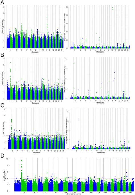 manhattan plots for single snp regression and bayesian analyses for a