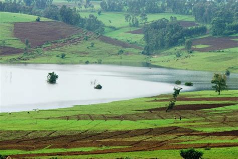 Nexus Gains At The National Biodiversity Strategies And Action Plans