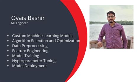 Develop Custom Machine Learning Models For Your Data By Ovaisbashir360