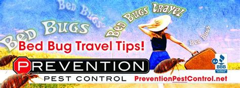Bed Bugs Travel Tips Prevention Pest Control Termite Inspection