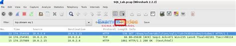7324 Práctica De Laboratorio Atacar Una Base De Datos Mysql