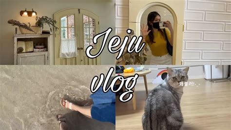 Vlog 나의 일상이야기ㅣ제주속유럽다녀오기 ️ ㅣ맘스터치녹차빙수아끈식당자드부팡서우봉해변 Youtube