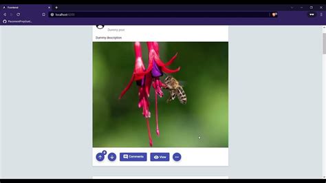 Social Media Clone Spring Boot Angular Youtube