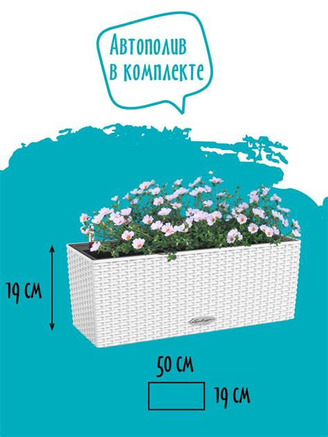 Кашпо для цветов с автополивом уличное Lechuza BALCONERA Cottage 50 ...