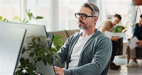 Computer System And Web Developer With Man Programmer In Office For