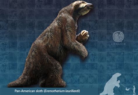 Sloth With Human Teeth