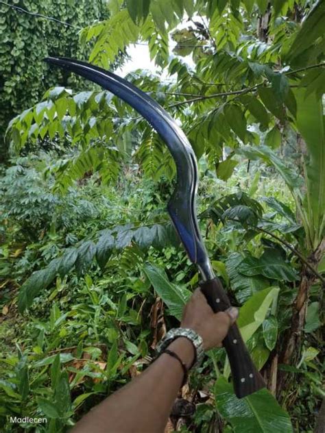 CALOK MADURA | Lazada Indonesia