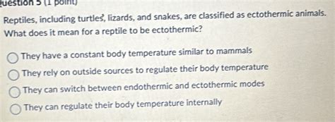 Solved Question 5 1 Point Reptiles Including Turtles Lizards And